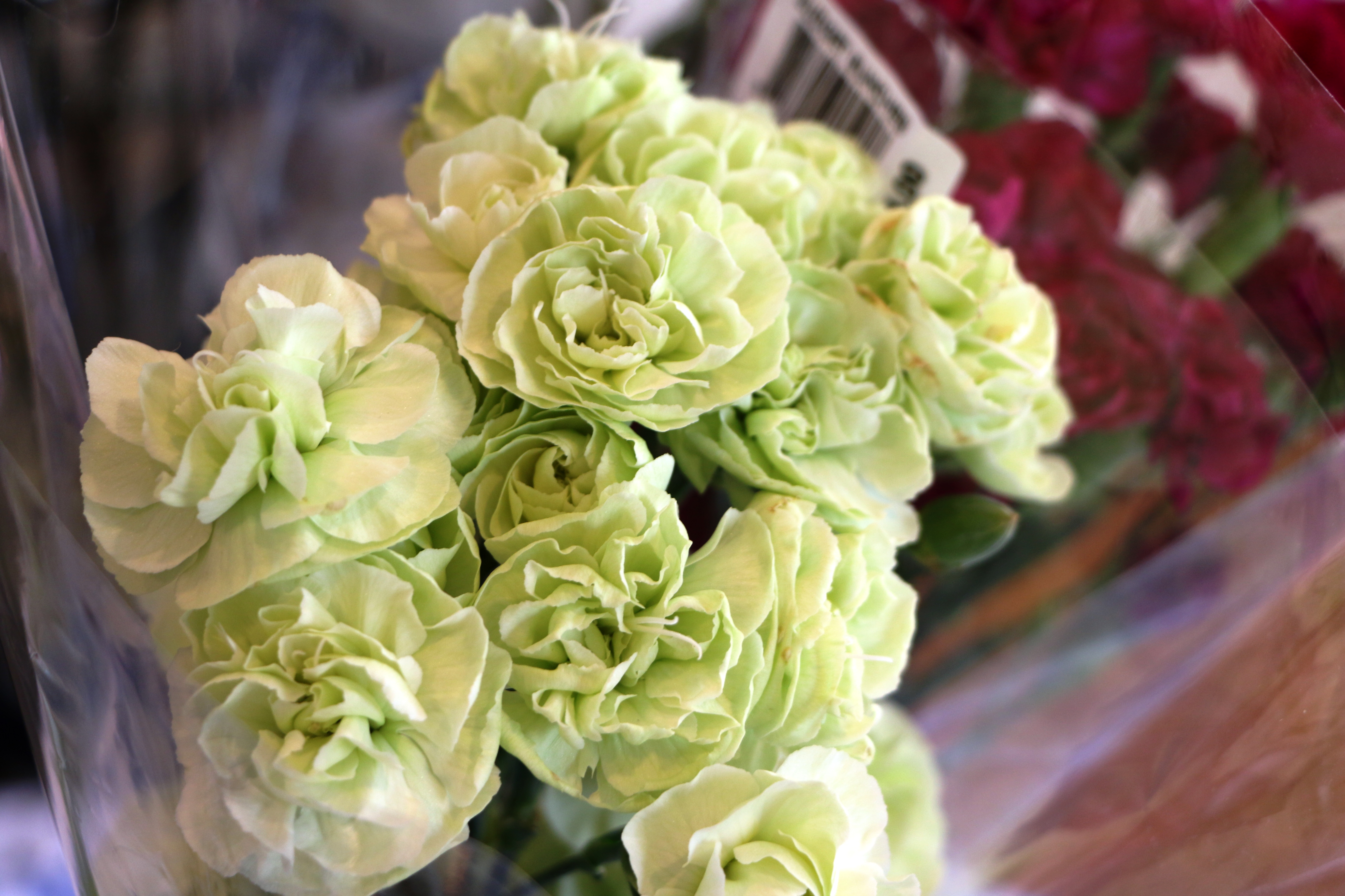 How to Make a Flower Grid - Magnolia Stripes