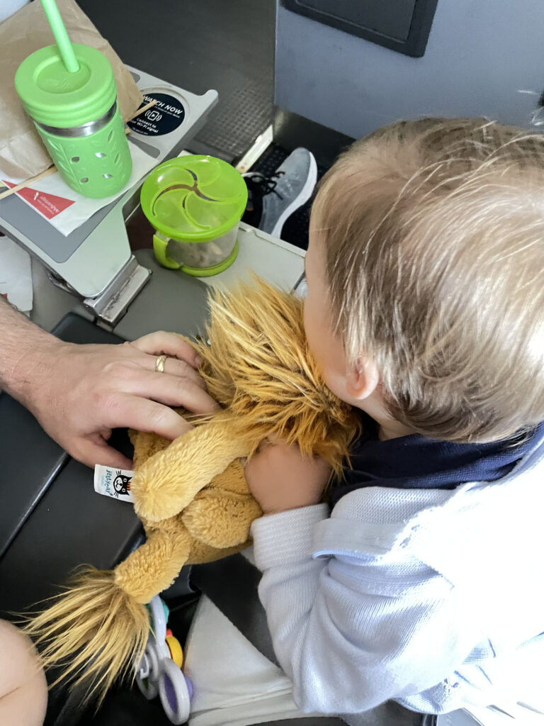 How to Fly with Baby and What to Know at the Hotel - Magnolia Stripes