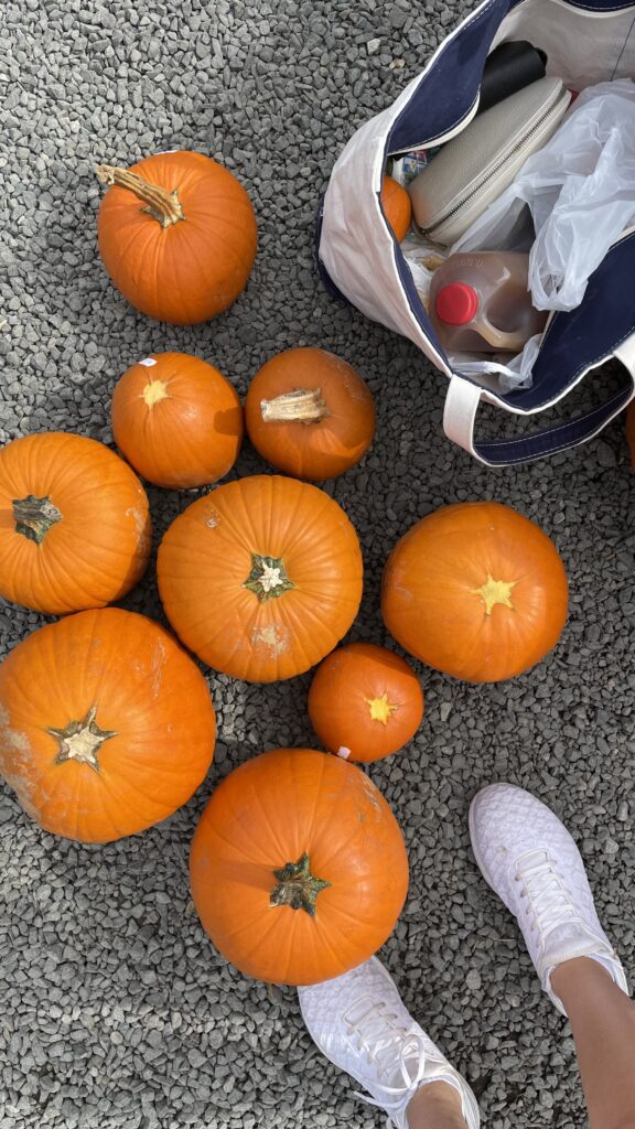 A Visit to Nalls Pumpkin Hill in Alexandria: A Pumpkin Patch Near D.C ...